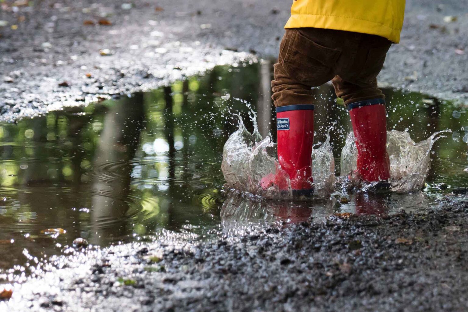 Best Weather Stations for Kids - The Weather Station Experts