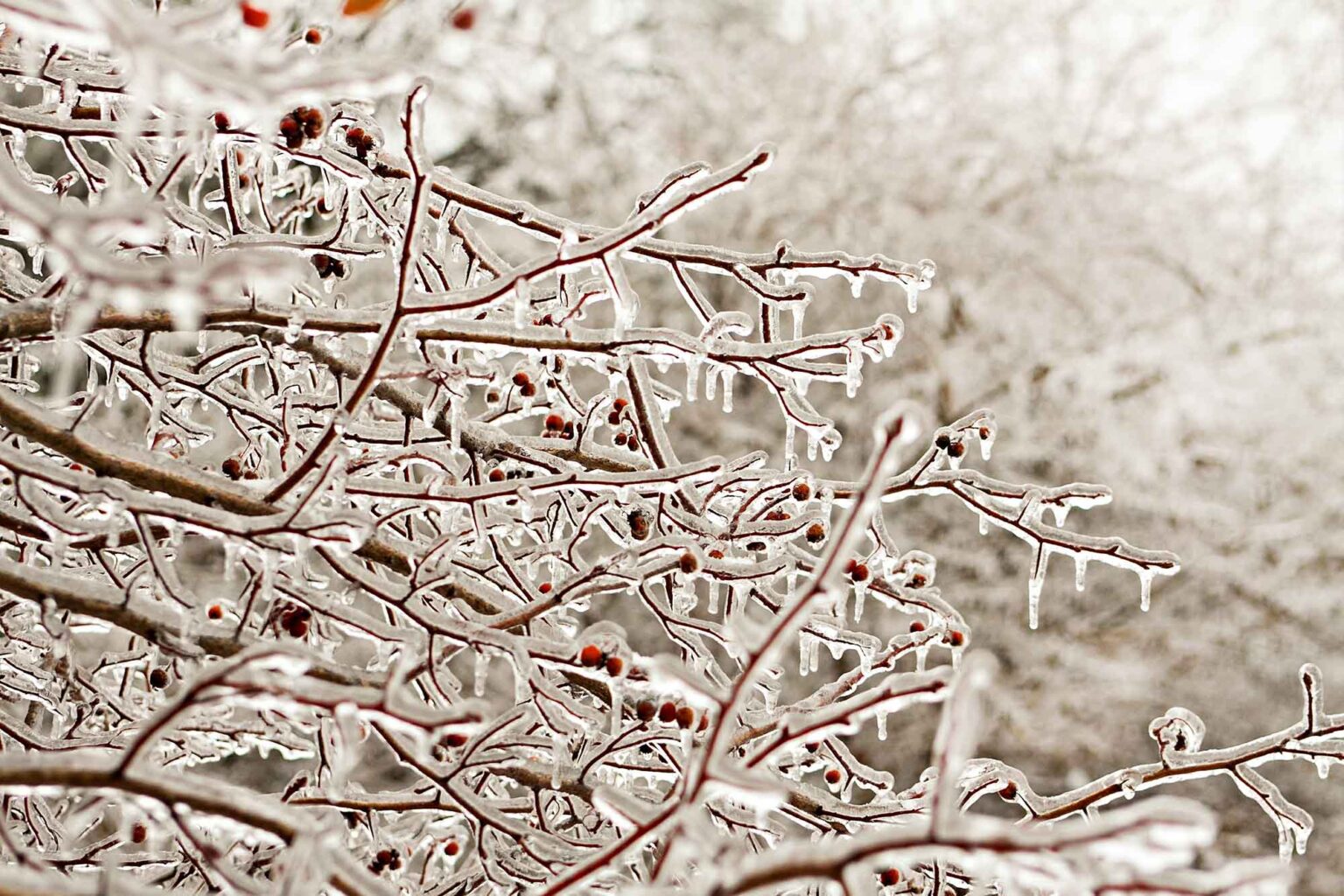 What is Freezing Rain? - The Weather Station Experts