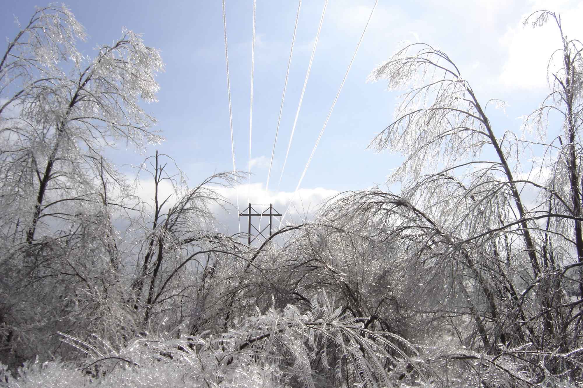 What is an Ice Storm Warning? - The Weather Station Experts