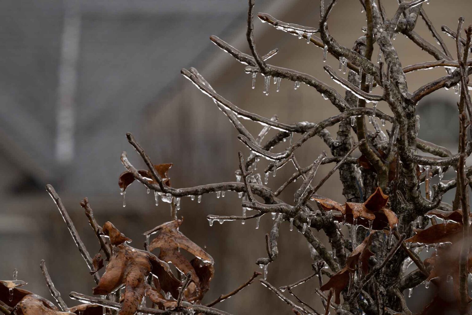 Sleet vs Freezing Rain vs Hail - The Weather Station Experts